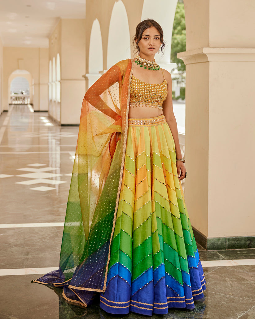 Multicolor mirror embroidered lehenga | Cedar & Pine